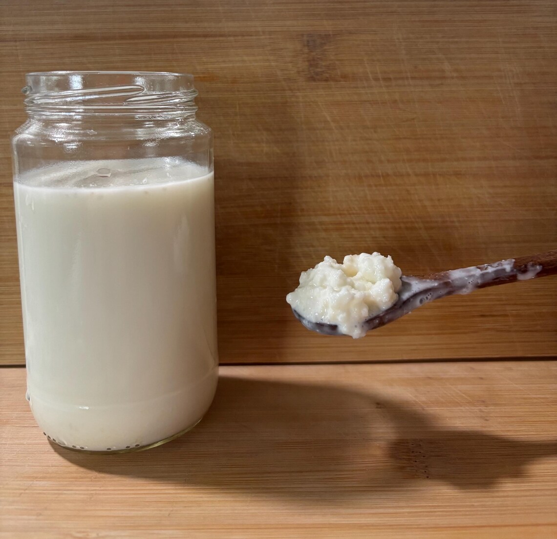 Organic Milk Kefir, Gut Health Support, Live Milk Kefir Grains ...
