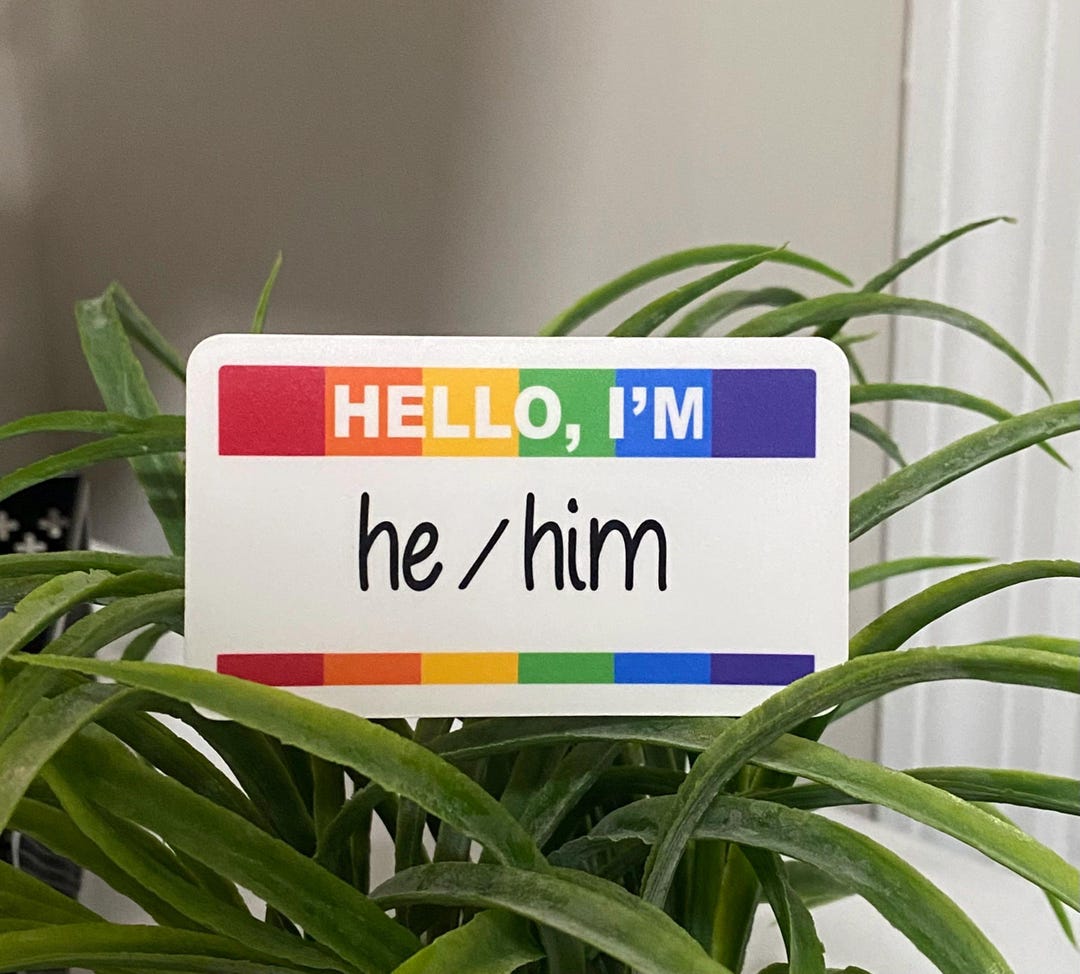 Hello I'm He Him - Waterproof Sticker - Vinyl Sticker - Funny Stickers ...
