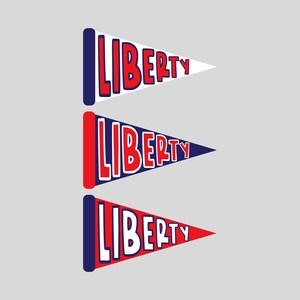 Liberty Flag Wall Print - Etsy