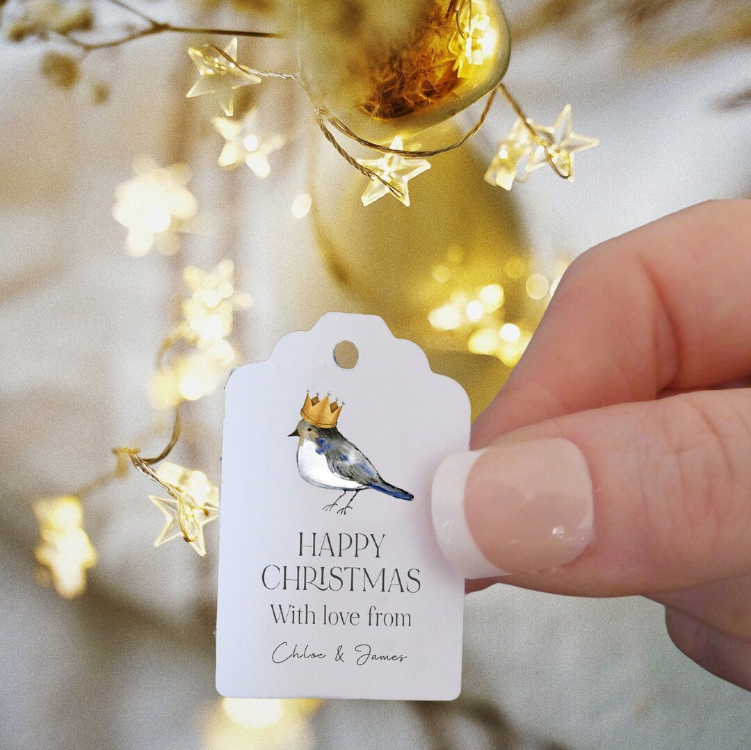Personalised Robin Small Christmas Favour Tags Size Small 3x4.5cm - Etsy