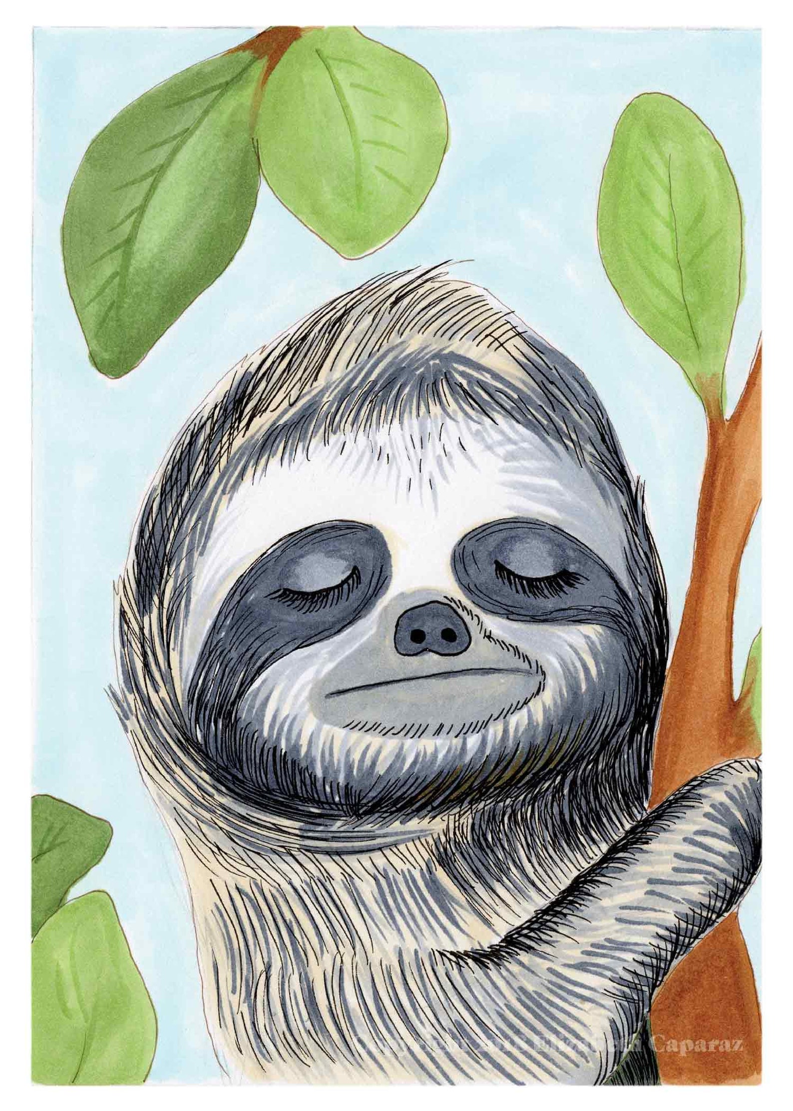 Sleepy Sloth Art Print Sloth Print Sloth Art Sloth Decor - Etsy