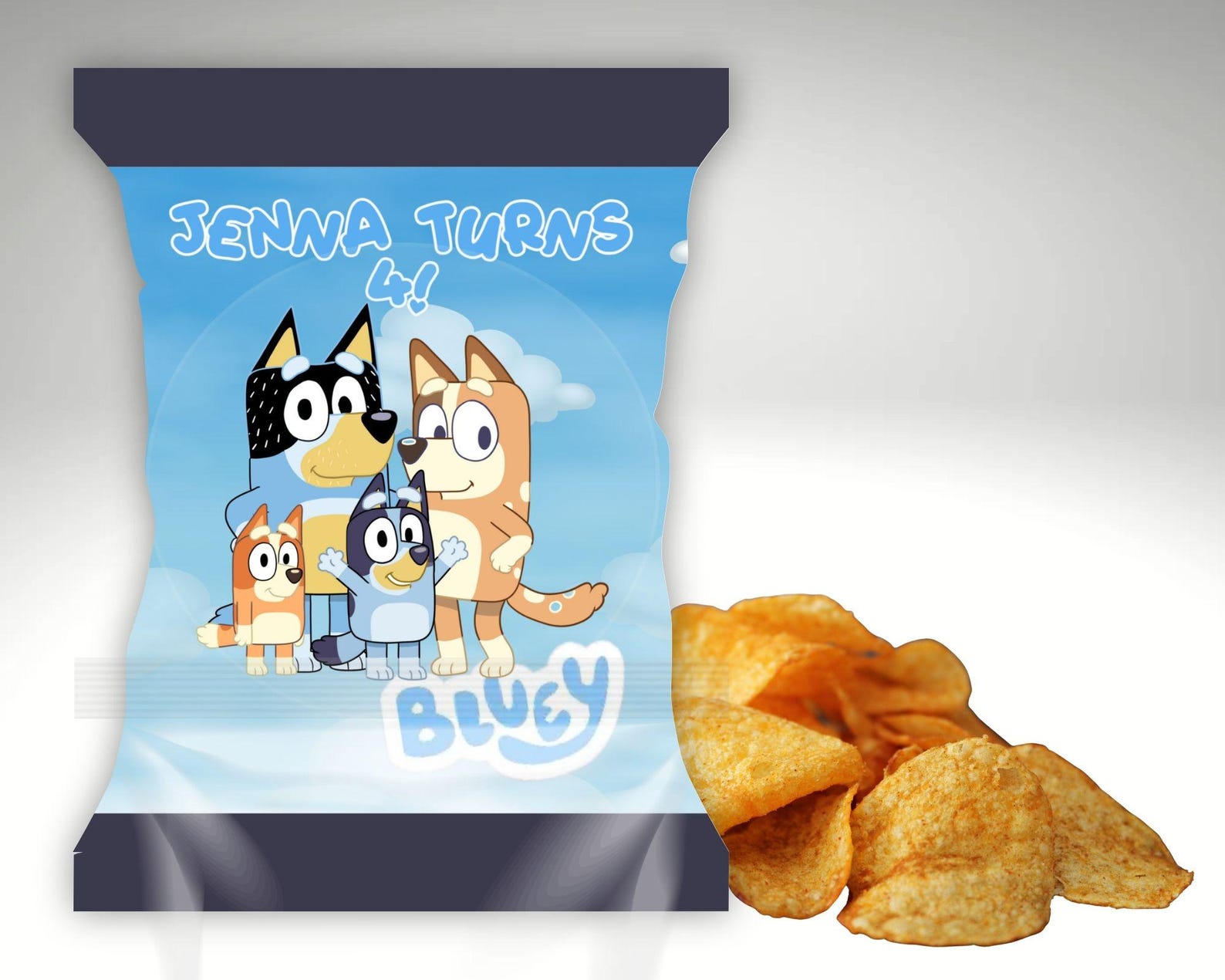 Personalized Bluey Chip Bags: Custom Birthday Party Favors (set of 12 ...