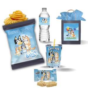 Personalized Bluey Chip Bags: Custom Birthday Party Favors (set of 12 ...
