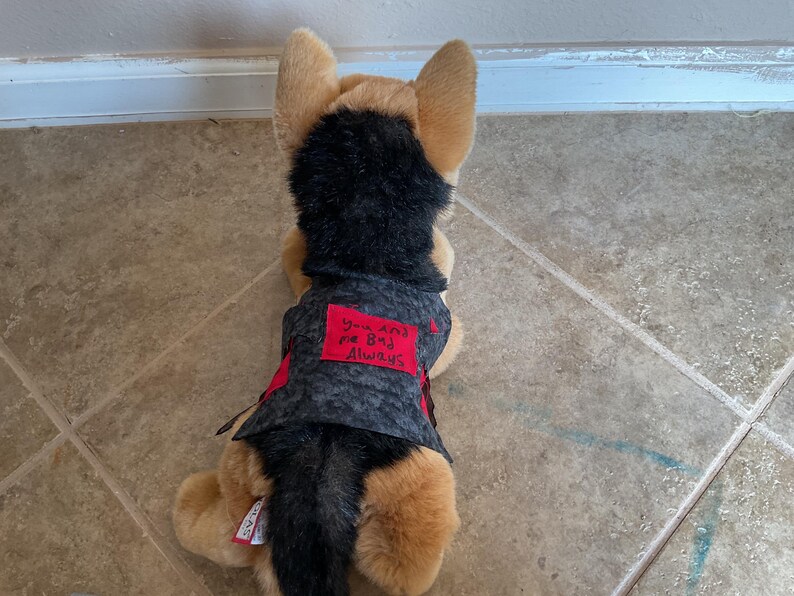 Premade HTTYD Themed ESSA Vest for 11 Inch Douglas Dogs - Etsy