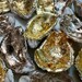 Hand Gilded Oyster Shells Are a Beautiful Additio9n to an Altar, Table ...