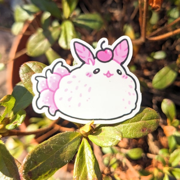 Sea Bunny - Etsy