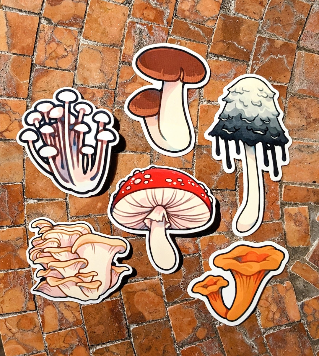 Mushroom Stickers - (fly Agaric, Enoki, Oyster, Inky Cap, Porcini ...
