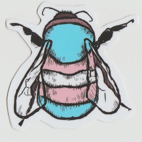 Transgender Bee 2 Vinyl Sticker - Etsy