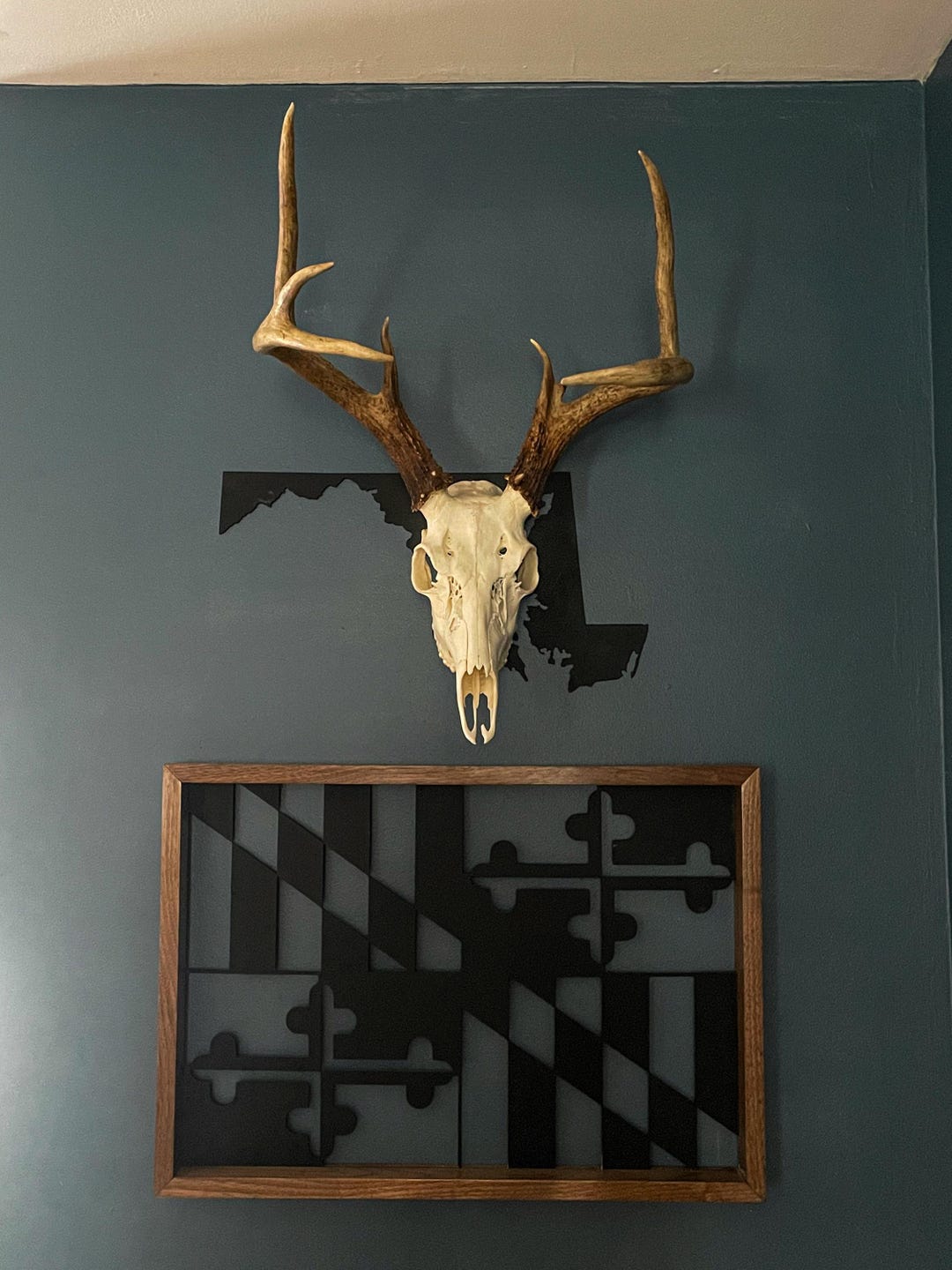 Maryland State Outline Wall Mount Skull Hanger - Etsy