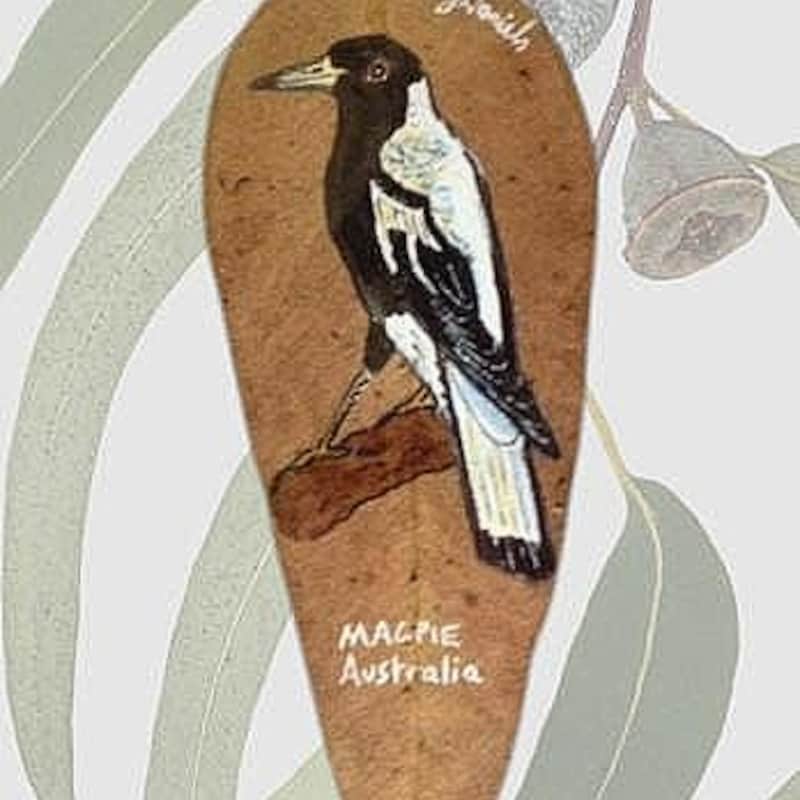 Australian Magpie - Etsy Australia