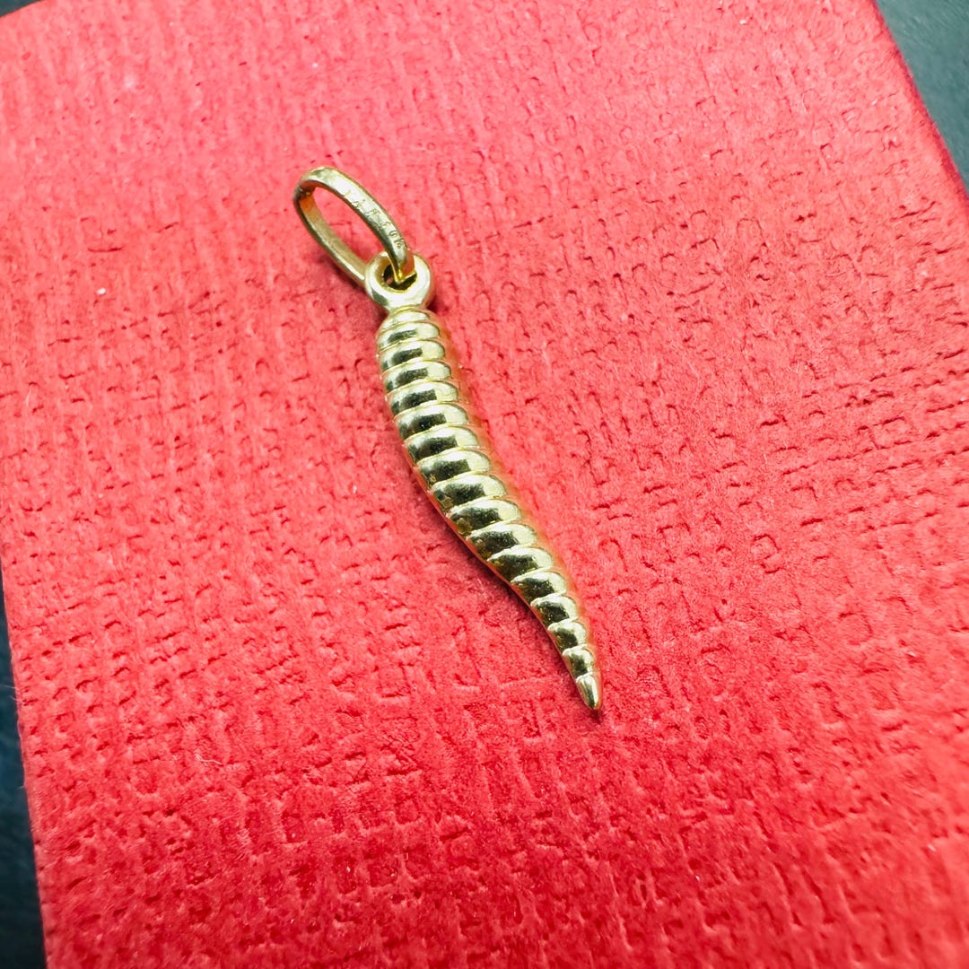 10K Yellow Gold Chili Pepper Italian Horn Pendant Charm 1" - Etsy