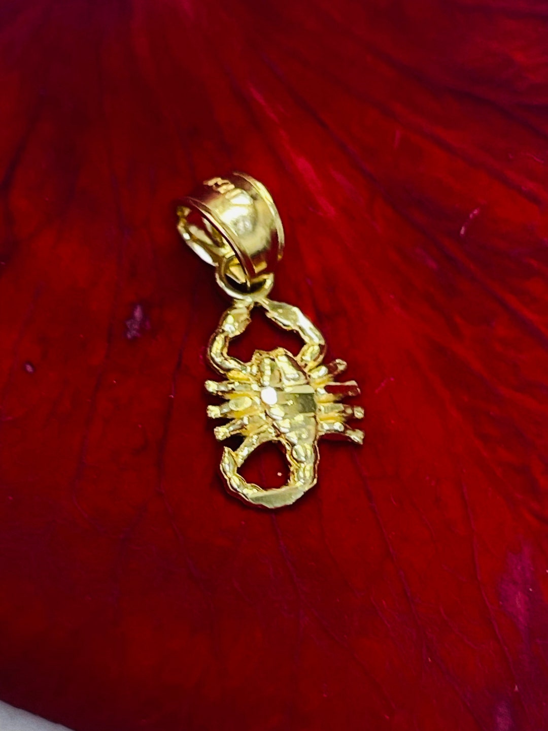 Small Solid 10K Yellow Gold Scorpion Charm Pendant Scorpio Astrology ...