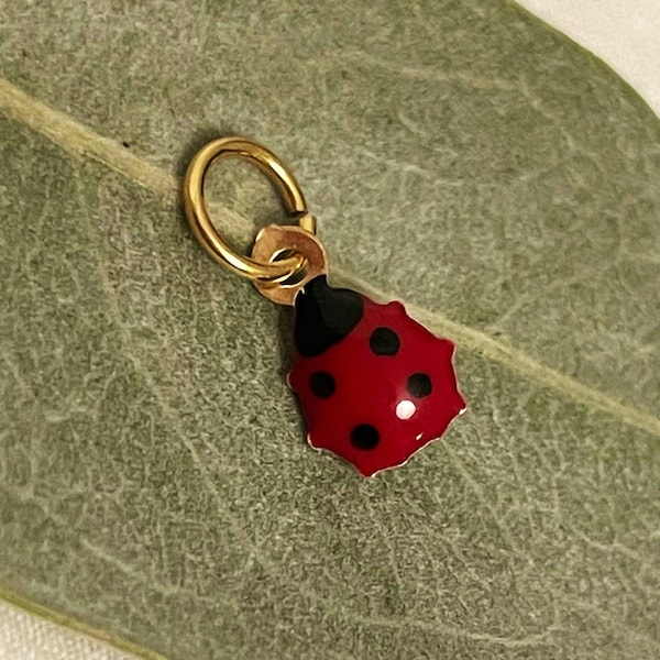 Lady Bug Beads - Etsy