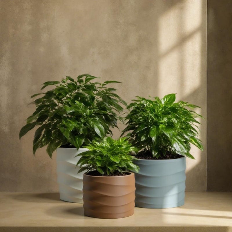 18 Plant Pot - Etsy