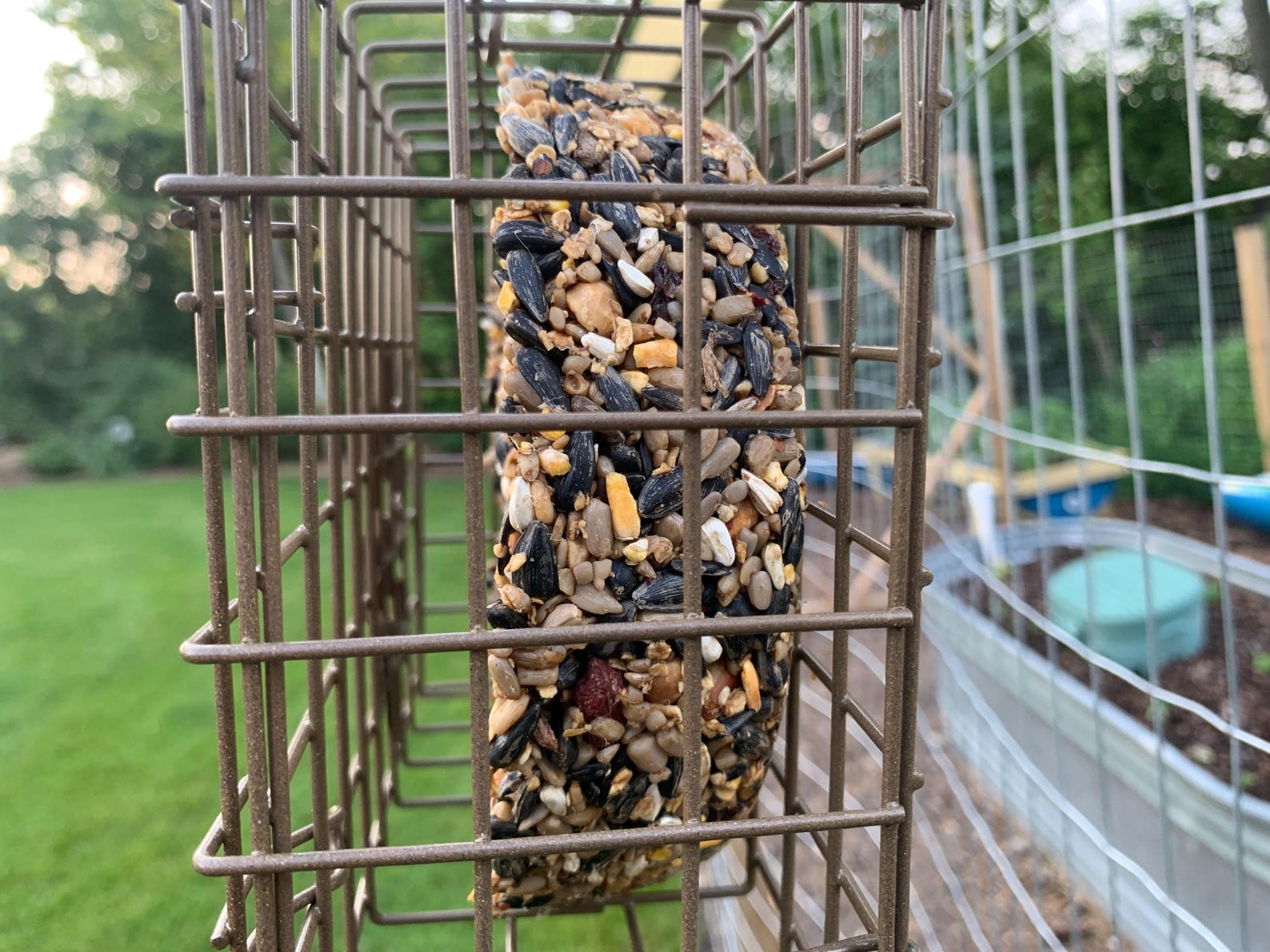 Hot Pepper Bird Seed Cake - No Mess, Squirrel Deterrent (2 Pack) - Etsy