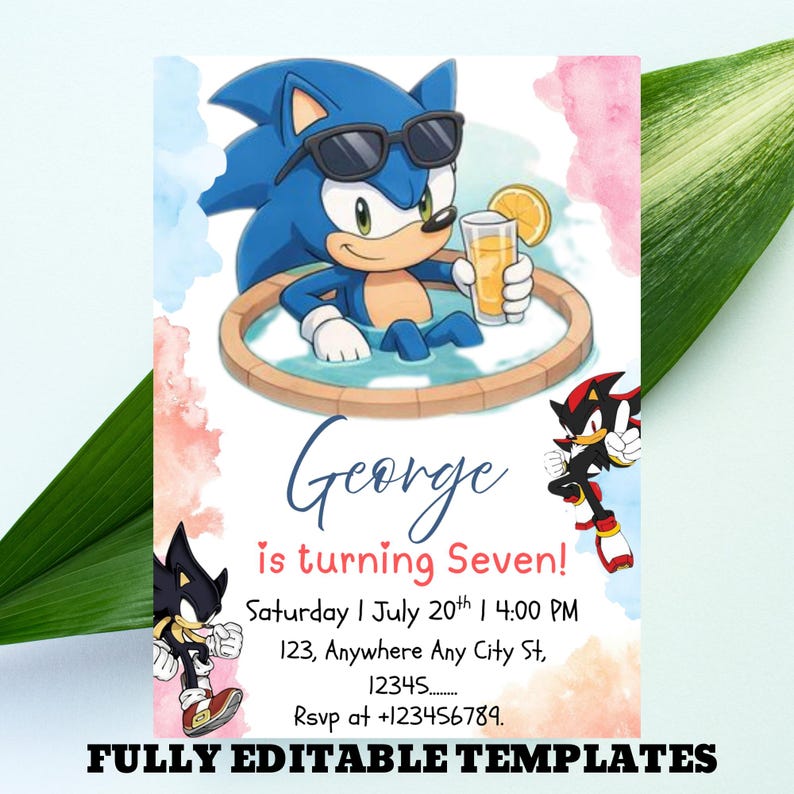 Editable Sonic Pool Party Birthday Invitation,sonic Beach Party ...