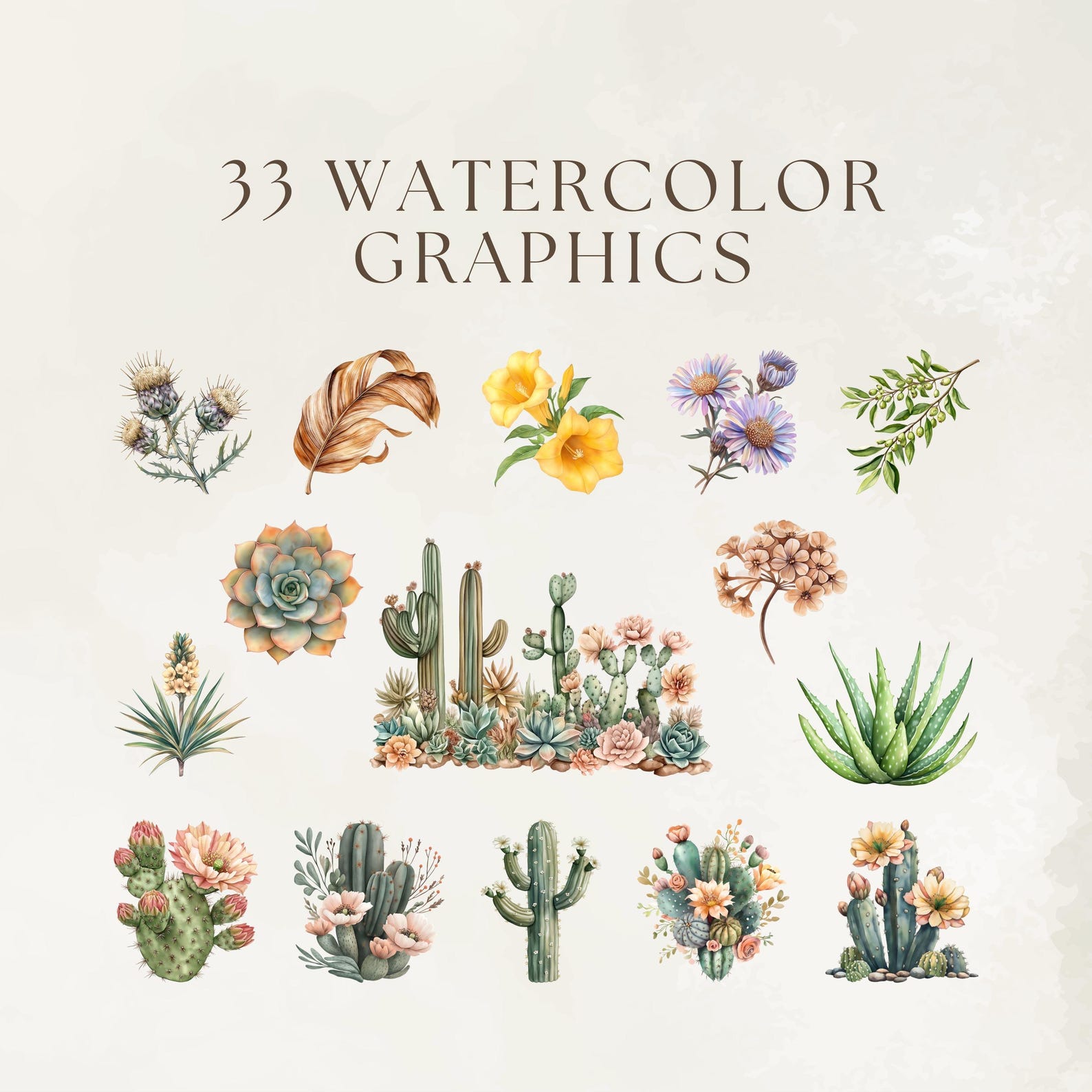 Desert Botanicals Watercolor Clipart Pack, Cactus Succulent Prickly ...