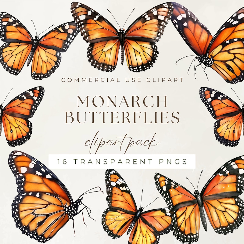 Canvas Butterfly Poster - Etsy