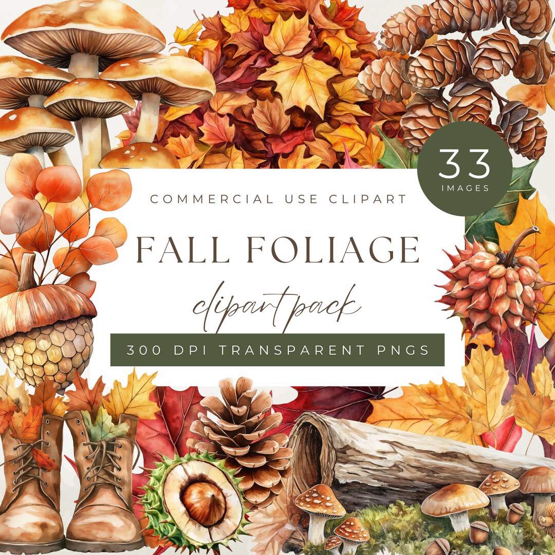 Fall Foliage Watercolor Clipart Pack, Autumn Leaves Mushrooms Acorns ...