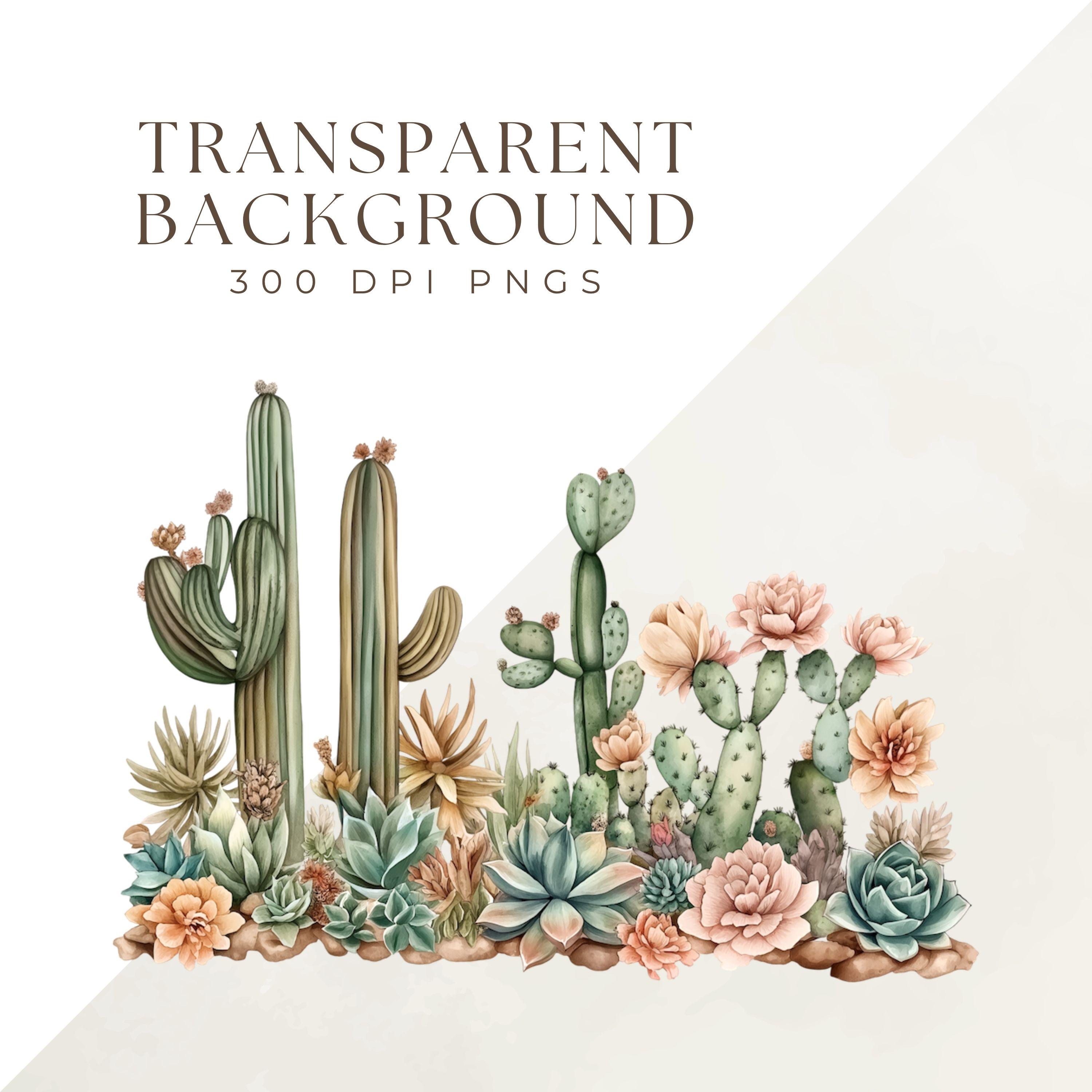 Desert Botanicals Watercolor Clipart Pack, Cactus Succulent Prickly ...