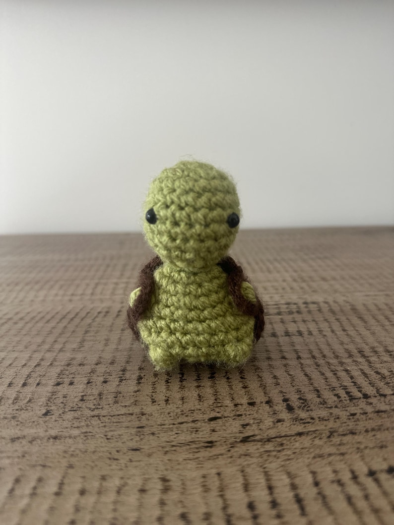 Cheeky Turtle Crochet Pattern - Etsy