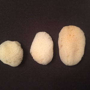 Natural Sea Sponges, Menstrual Care, Make up Application, Face Sponge ...
