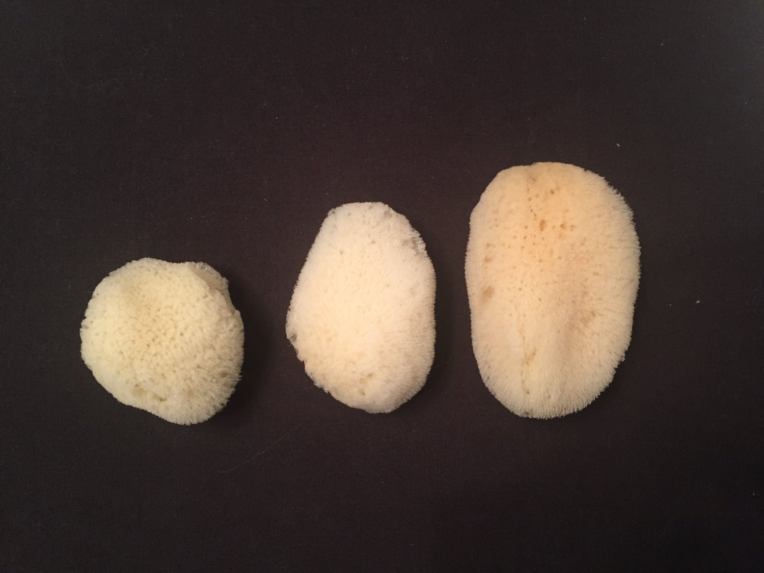 Natural Sea Sponges Menstrual Care Waste Free Period Trial - Etsy