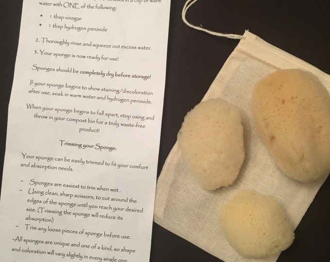 Natural Sea Sponges, Menstrual Care, Waste Free Period, Trial Set of 3 ...