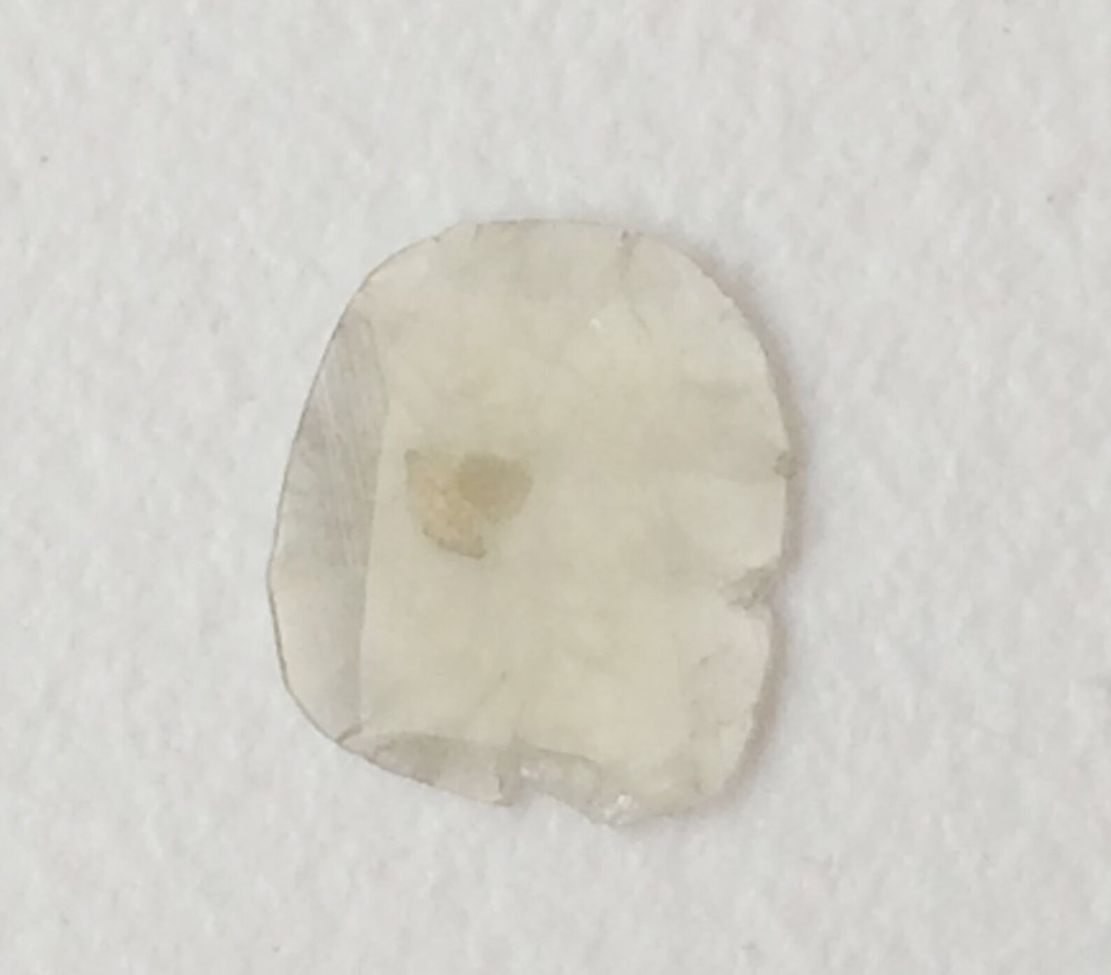 8.5x10mm Rare Diamond Slice Natural off White Loose Diamond - Etsy