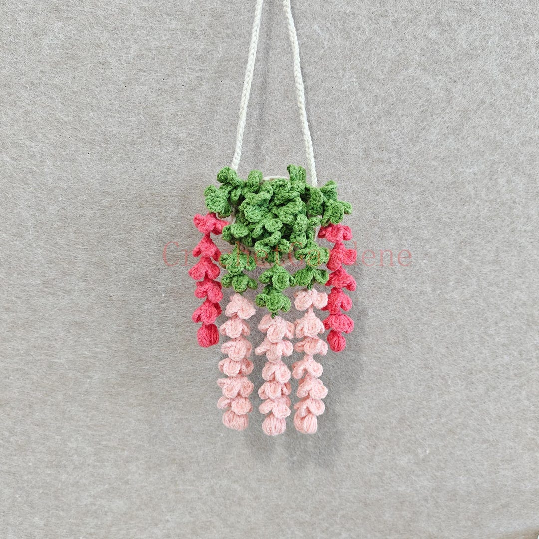 Multi Style Crochet Plant Car Mirror Hanging,crochet Lavender,succulent ...