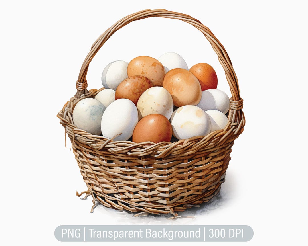 Chicken Eggs Clipart, Eggs in Basket PNG, Farm Egg, Junk Journals ...