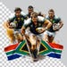 South African Rugby Clipart, Rugby Team PNG, Rainbow Nation, Junk ...
