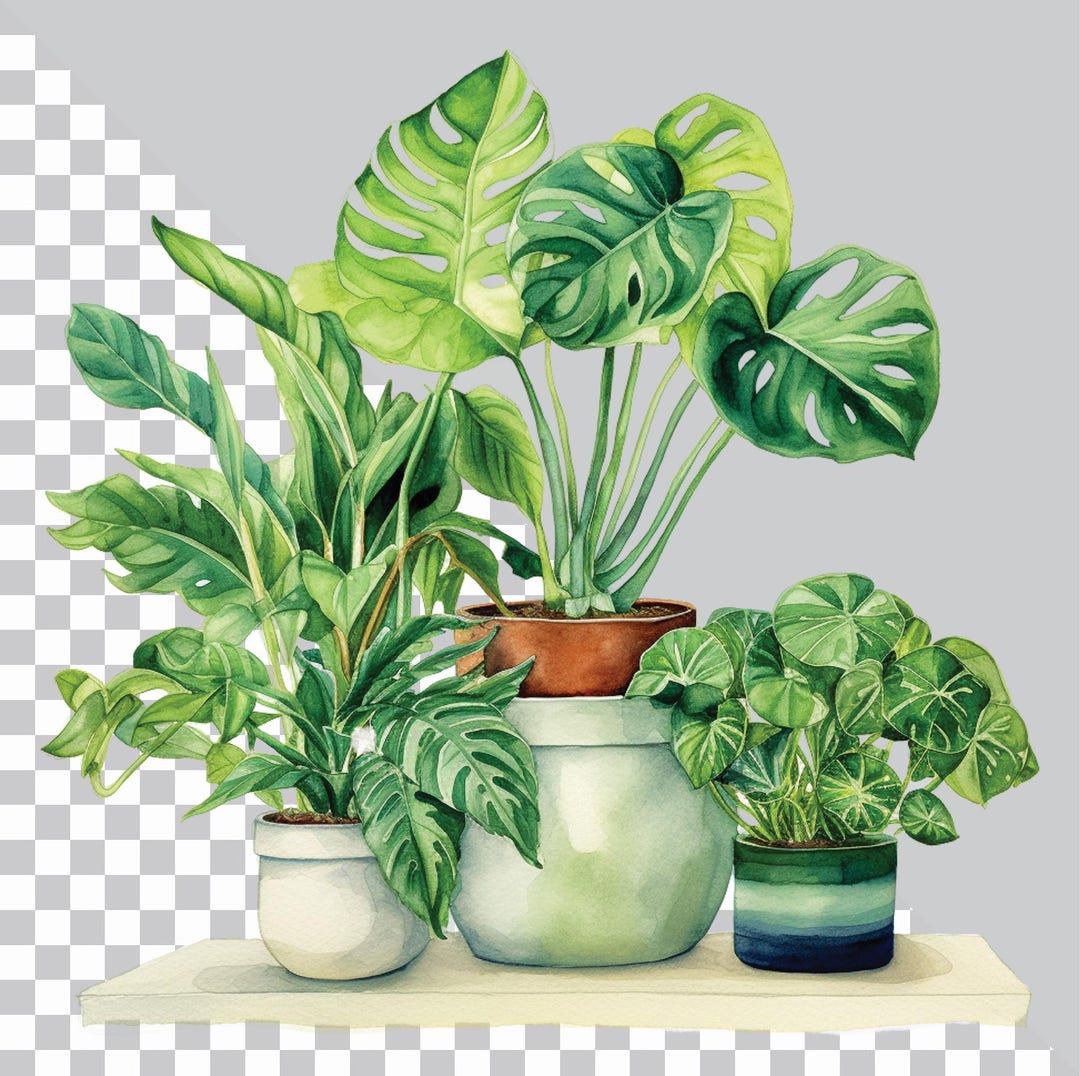 House Plant Clipart, Indoor Plants Png, Potted Plants Png, Junk ...
