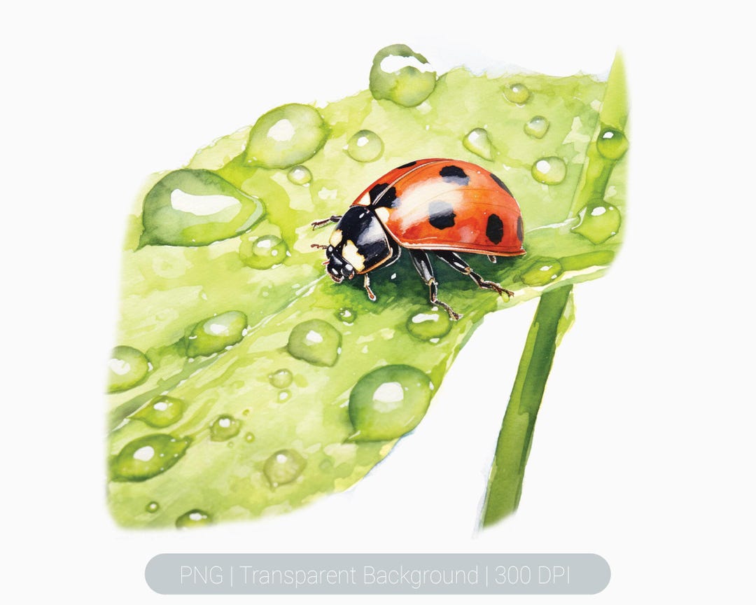 Watercolor Ladybug Clipart Bundle, Floral Cute Lady Bug Prints, Ladybug ...