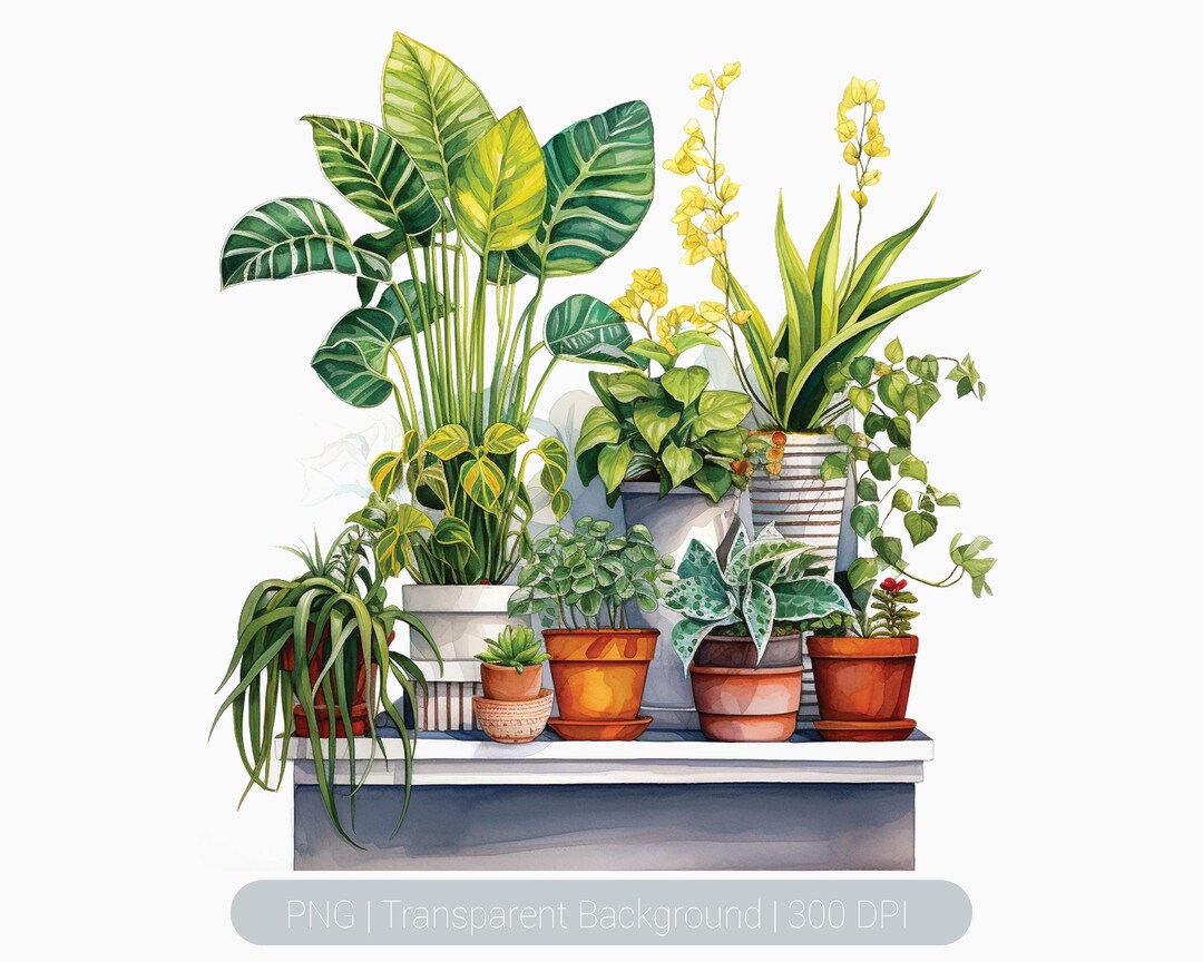 House Plant Clipart, Indoor Plants Png, Potted Plants Png, Junk ...