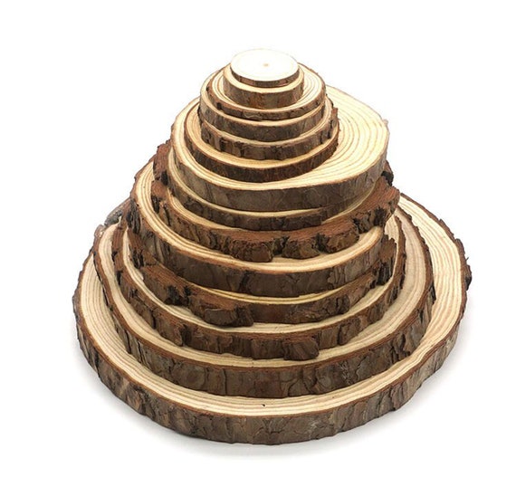 Natural Pine Round Wood Slab 10 PCS 1cm/1.5cm Thickness Wood - Etsy
