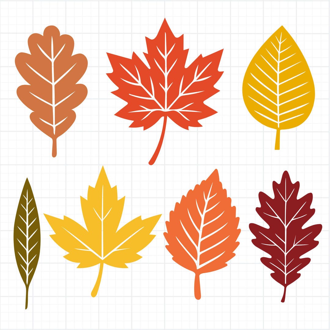Fall Leaves Bundle SVG PNG | Autumn Foliage Cut Files | Maple Oak Leaf ...