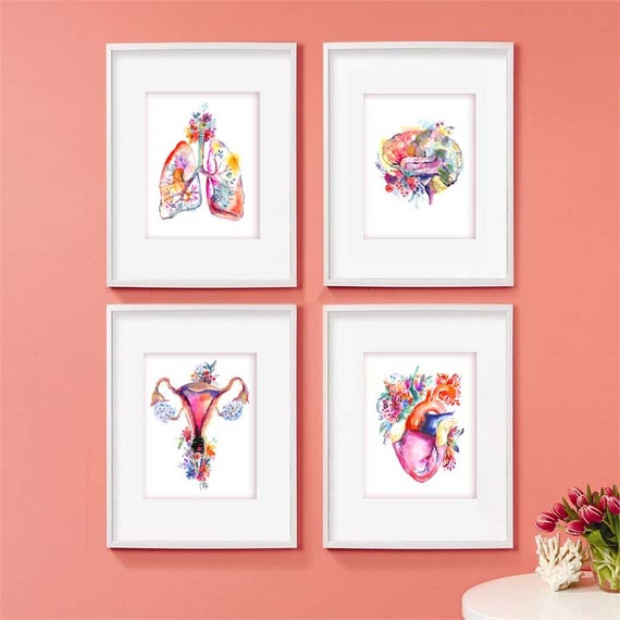 Set of 4 Anatomical Organs Art Illustration Prints. Brain | Etsy