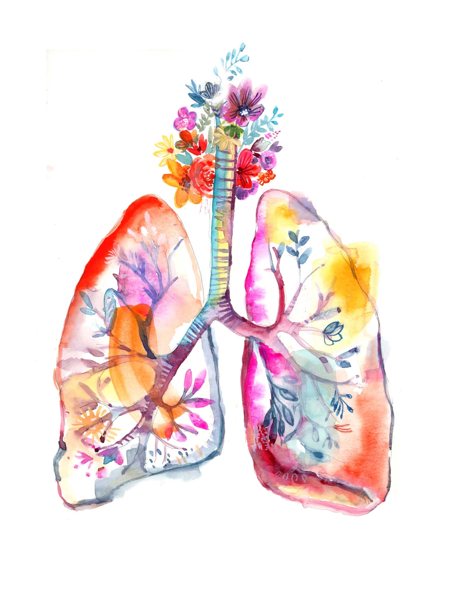 Beautiful Lungs Watercolor Illustration. Anatomical - Etsy