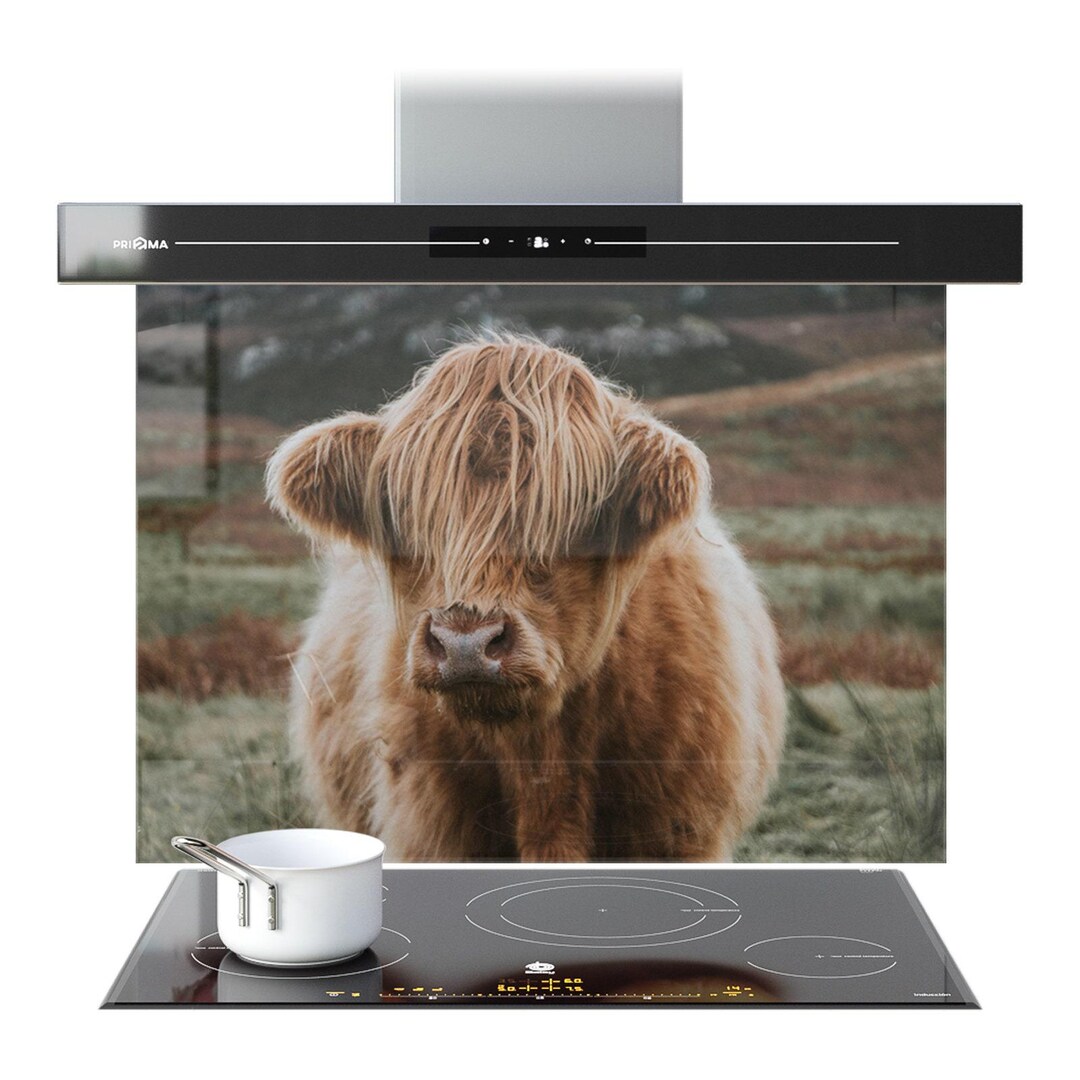 Kitchen Splashback Farm Animals Highland Cow Tempered Glass Backsplash ...