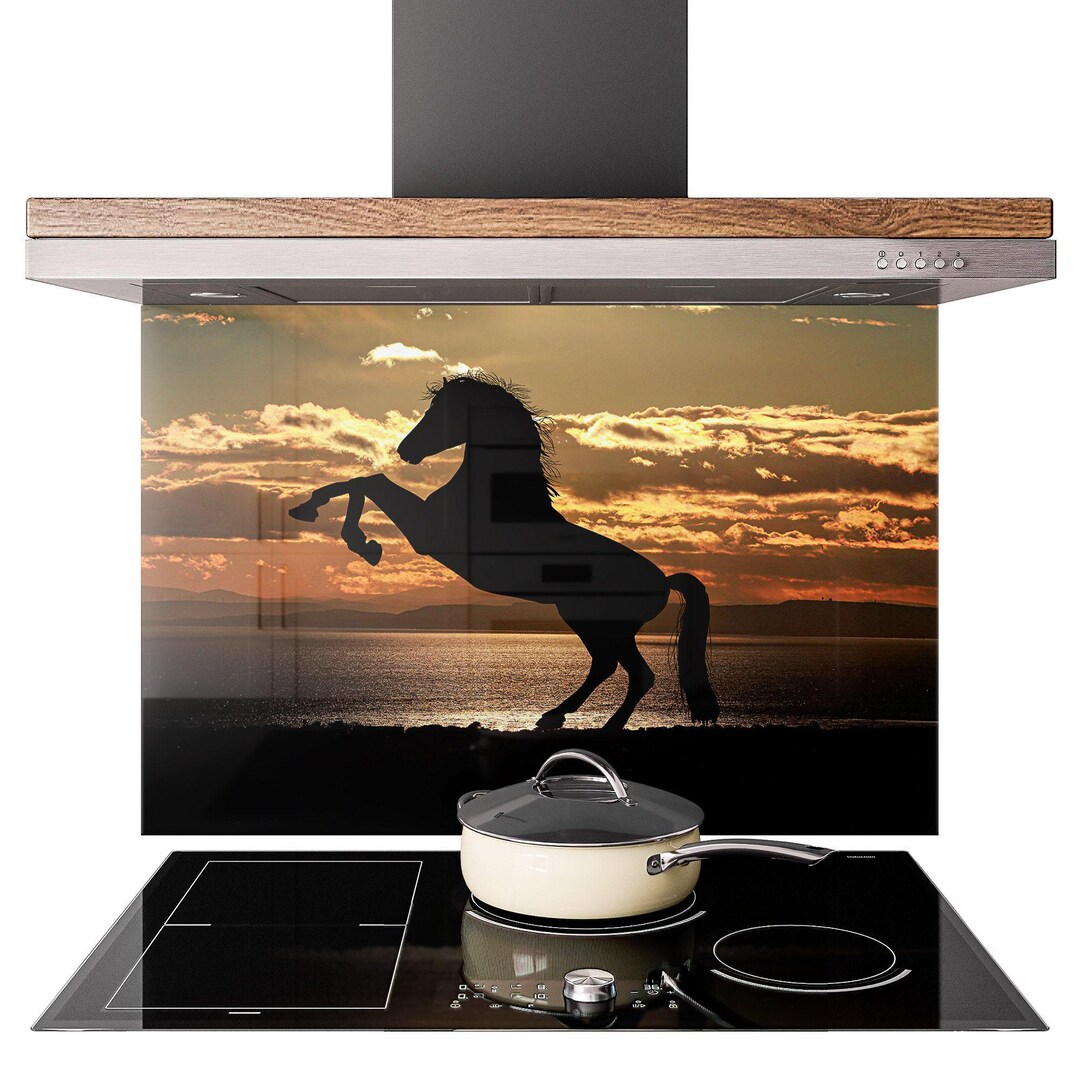 Kitchen Splashback Horse Shadow Sunset Beach Sun Photo Art Tempered ...