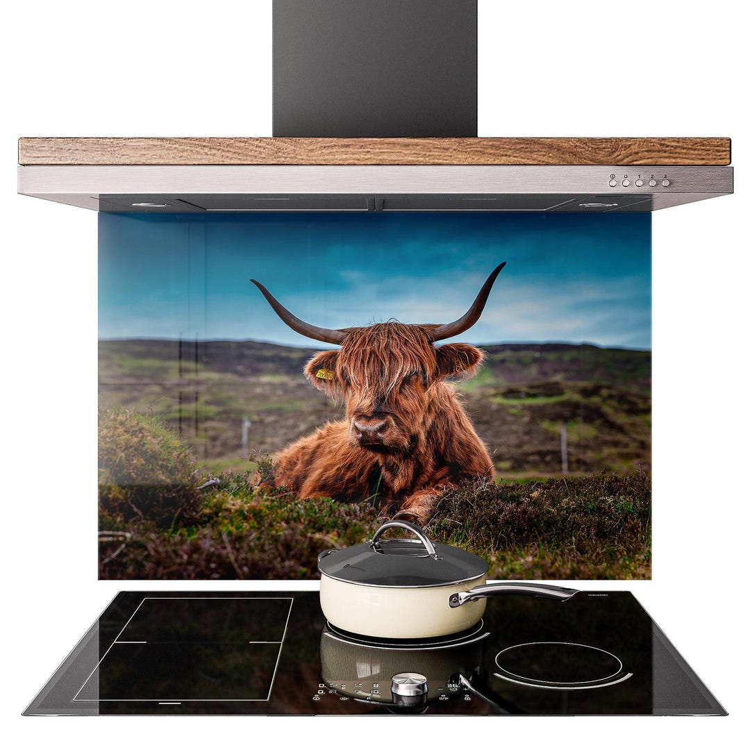 Kitchen Splashback Highland Cow Tempered Glass Backsplash Wall Panel ...