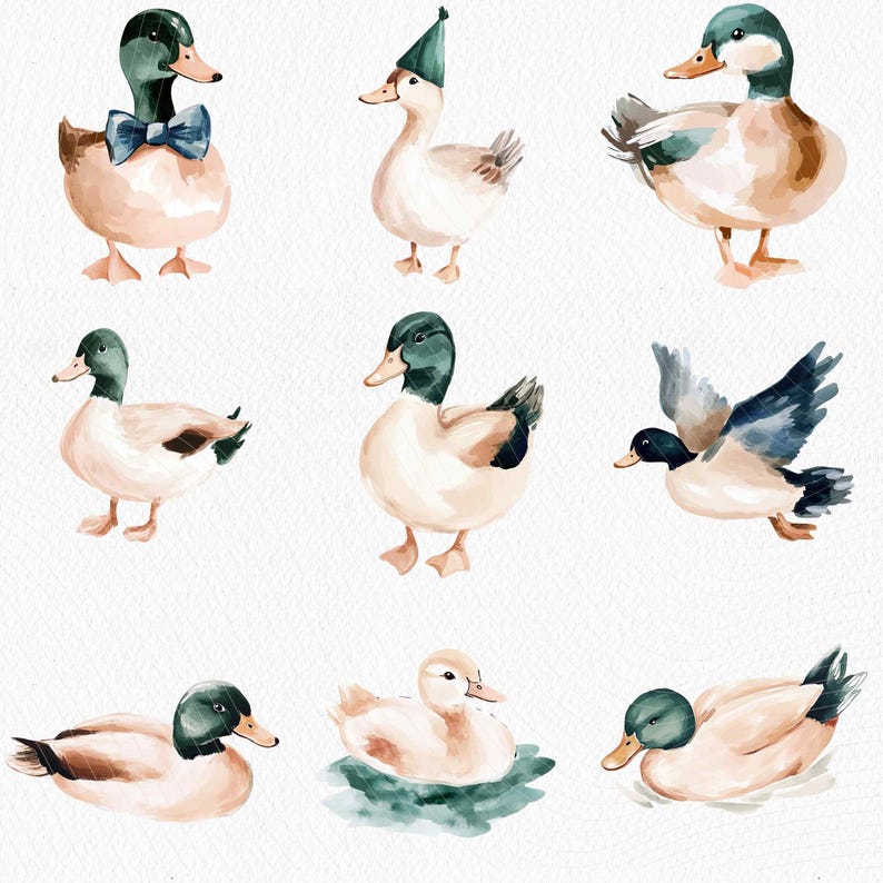One Lucky Duck Clipart for First Birthday, Watercolor Mallard Ducks ...