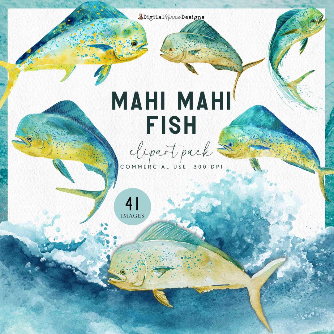 Mahi Mahi Clipart, Offshore Fishing Clipart, Watercolor Dolphin Fish ...