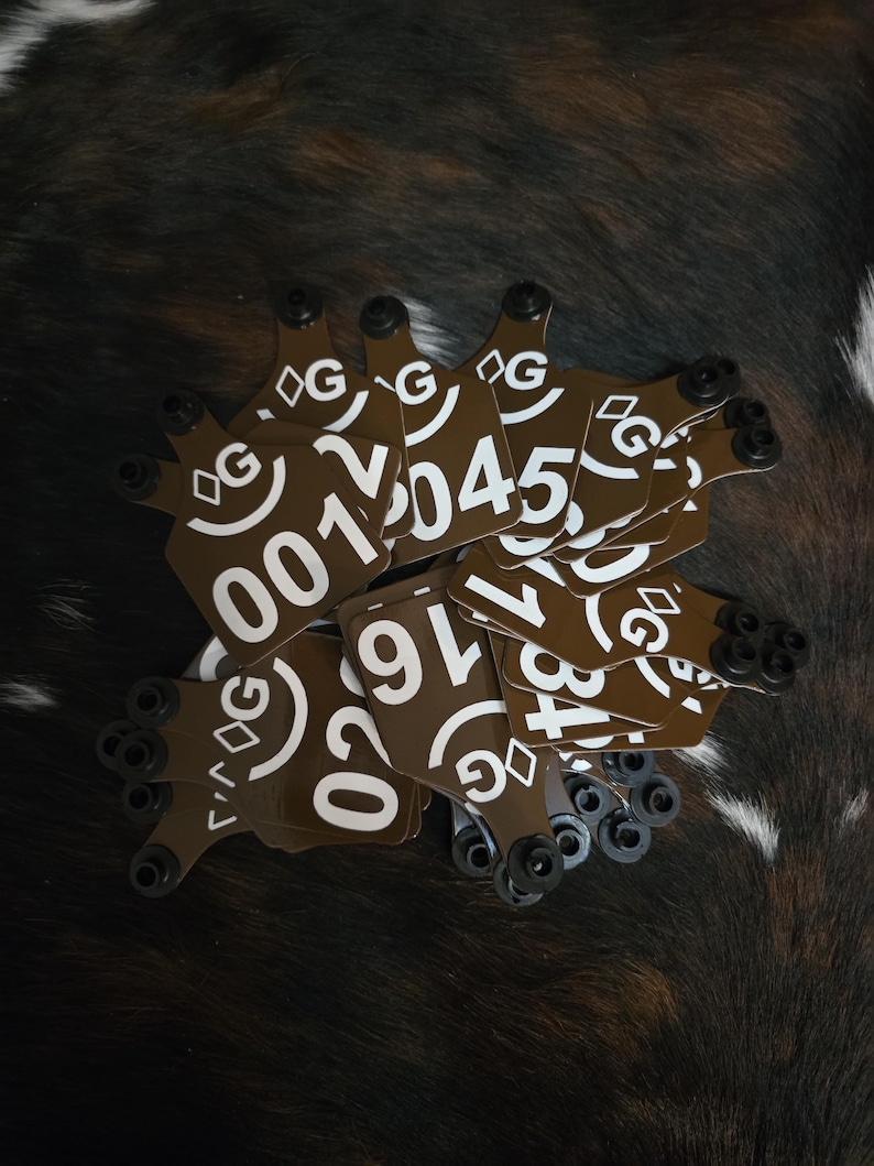 Custom Laser Engraved Cattle Ear Tags, Livestock ID, Never Fades, Made ...