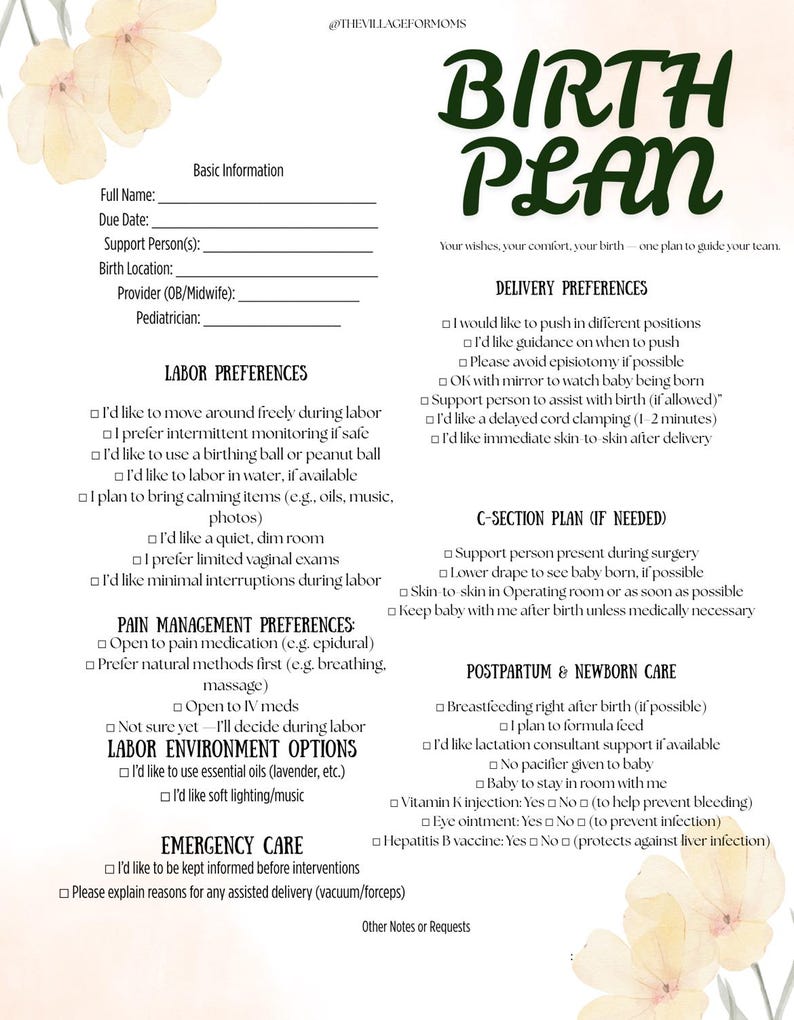 Printable Birth Plan Template: Labor, Delivery & Postpartum Preferences ...