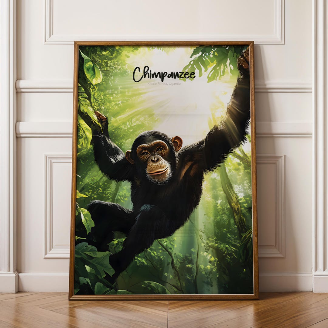 Chimpanzee Print: Modern Wildlife Illustration, Jungle Home Decor - Etsy