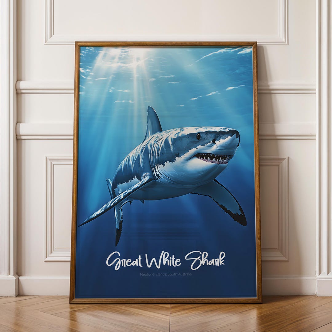 Great White Shark Framed Poster, Ocean Wall Art, Marine Life Print ...