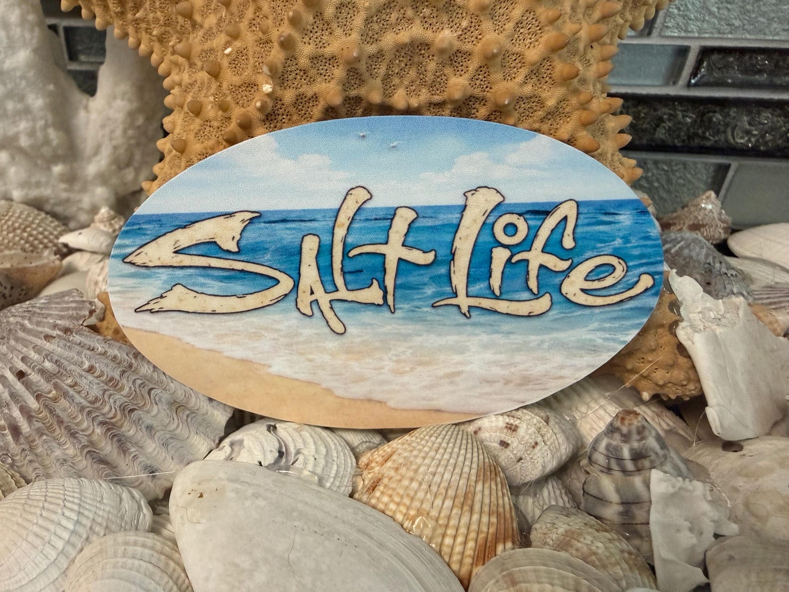Salt Life Sticker | Waterproof Vinyl Beach Decal (4 Inch) - Etsy