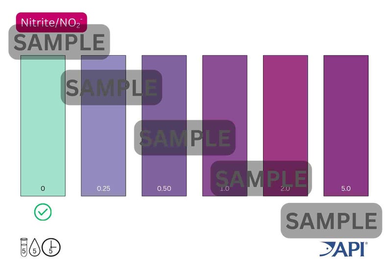 API Aquarium Water Test Chart – Enlarged Digital & Printable Sheets ...